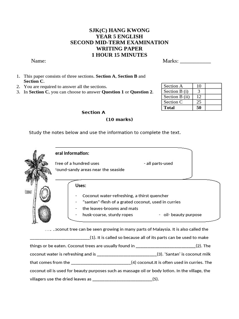Bi Paper 2 Year 5 | PDF