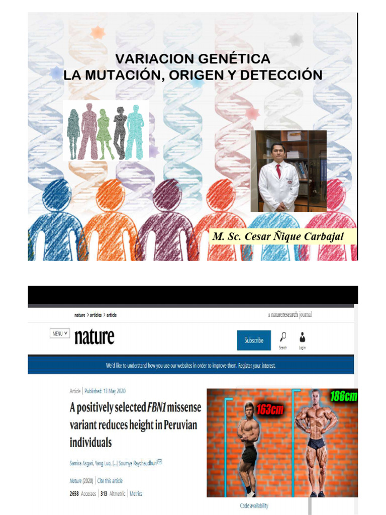 Sesion 3 (1) - 240917 - 204100 | PDF