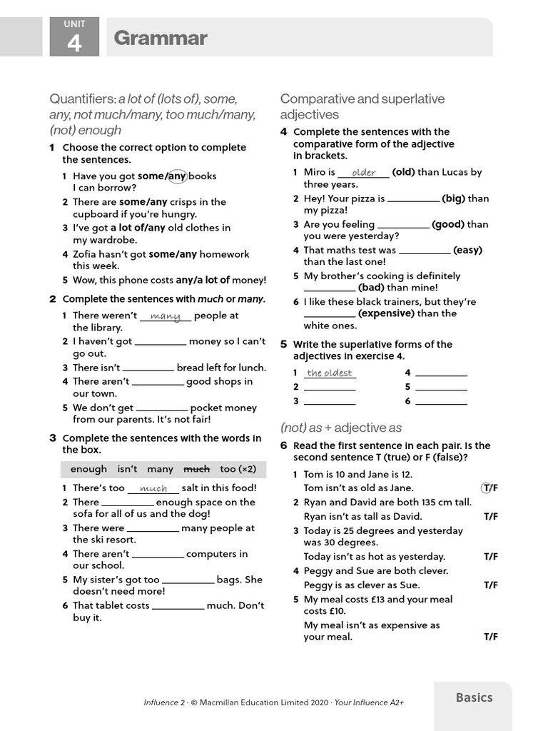 L2 A2PLUS U4 Basics Grammar Vocabulary | PDF