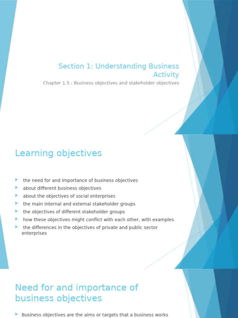 CHT 1.5 Business Objectives & Stakeholder Objectives | PDF