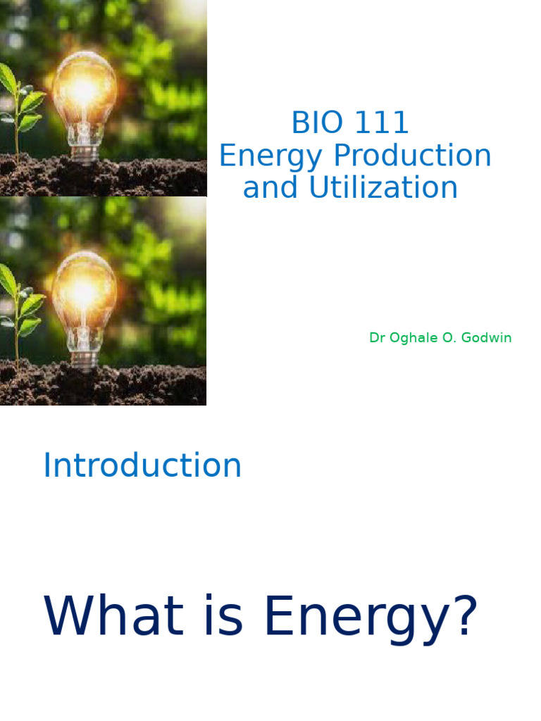 BIO 111 - Energy Production | PDF