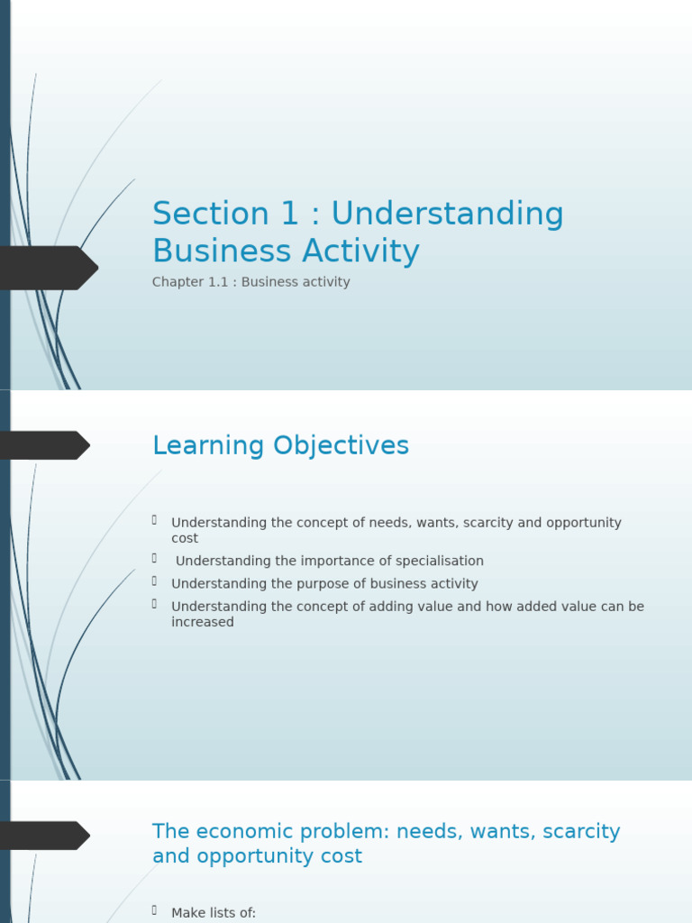 CHT 1.1 Business Activity | PDF