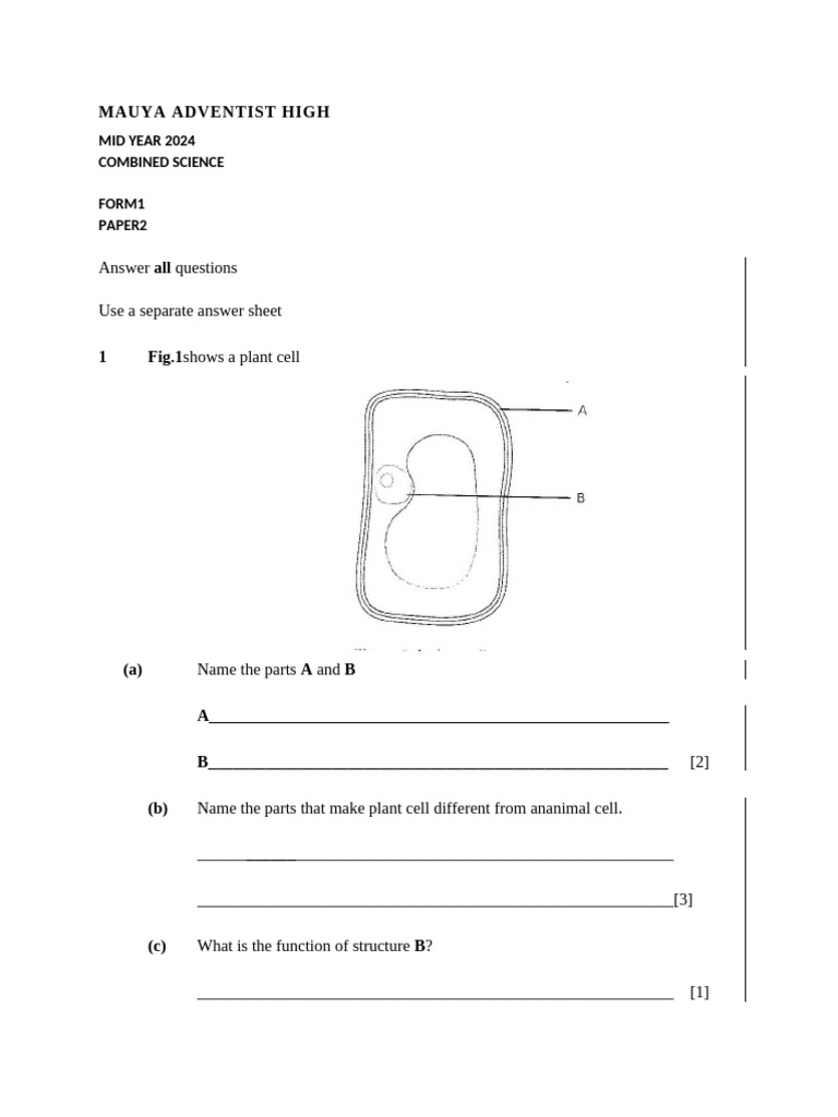 Form 1 Mid Term Mauya | PDF