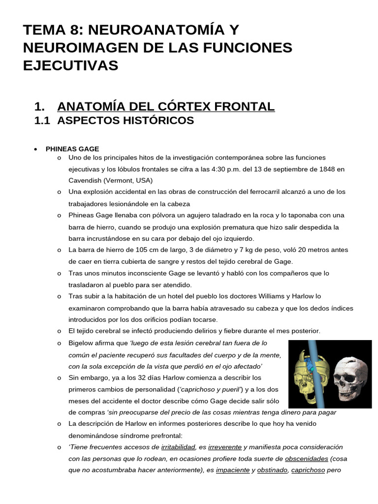 Tema 8 | PDF