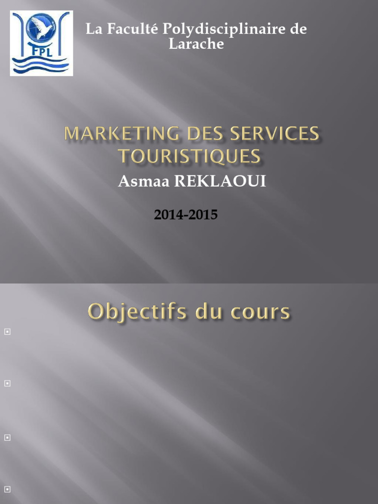 Cours Marketing LP | PDF