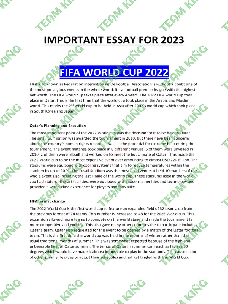 Fifa World Cup 2022 Essay | PDF