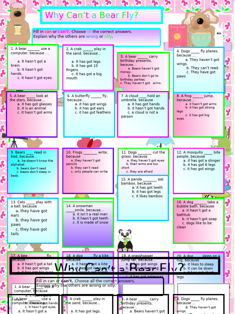 Practice With Can and Cant | PDF