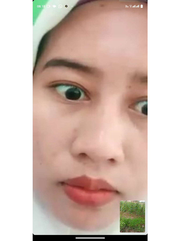 Screenshot 20240911-081830 | PDF