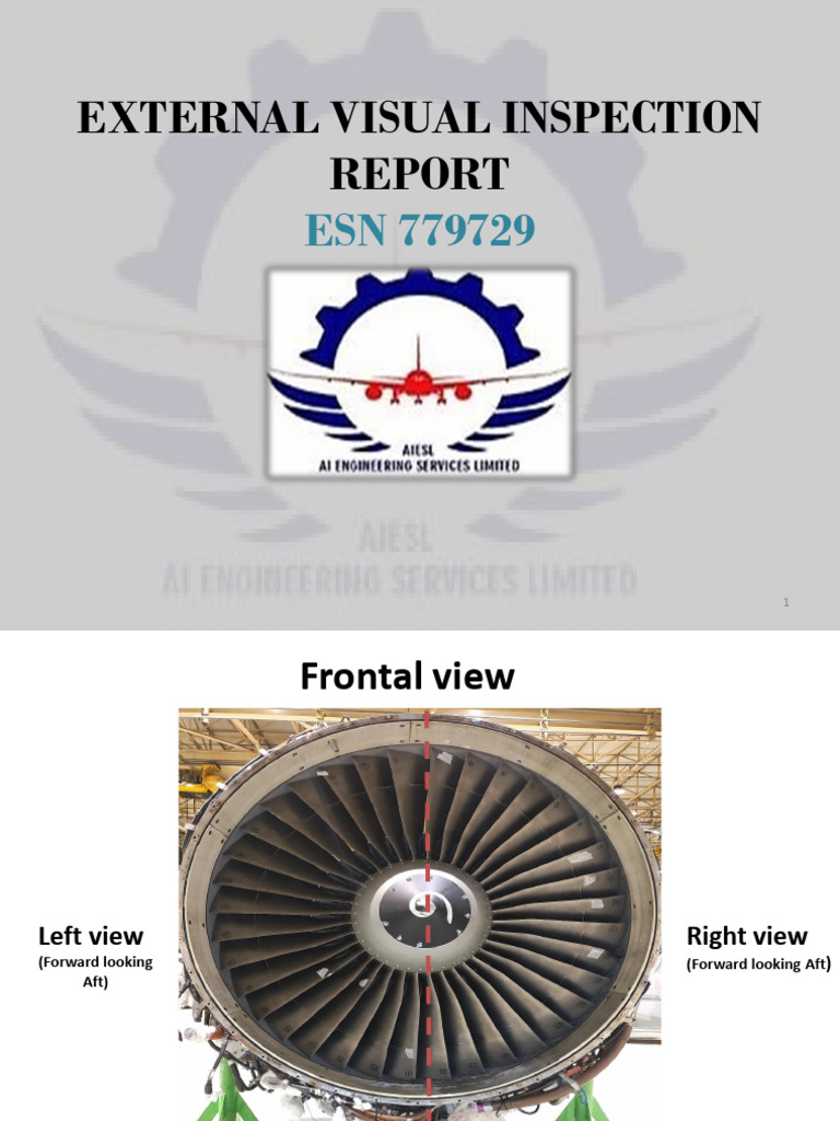 External Visual Findings | PDF