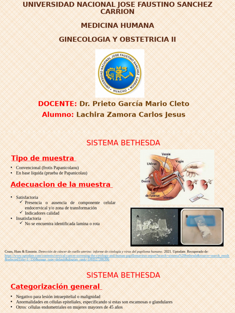 Clasificacion Bethesda | PDF