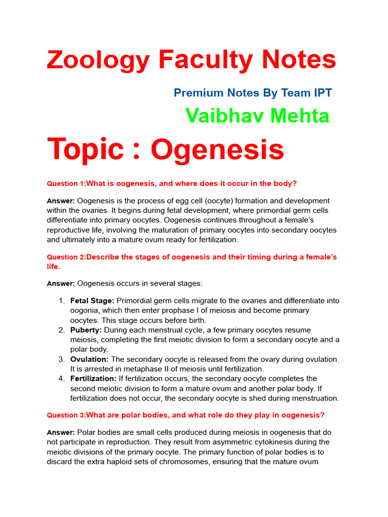Zoology Faculty Notes (Ogenesis) | PDF