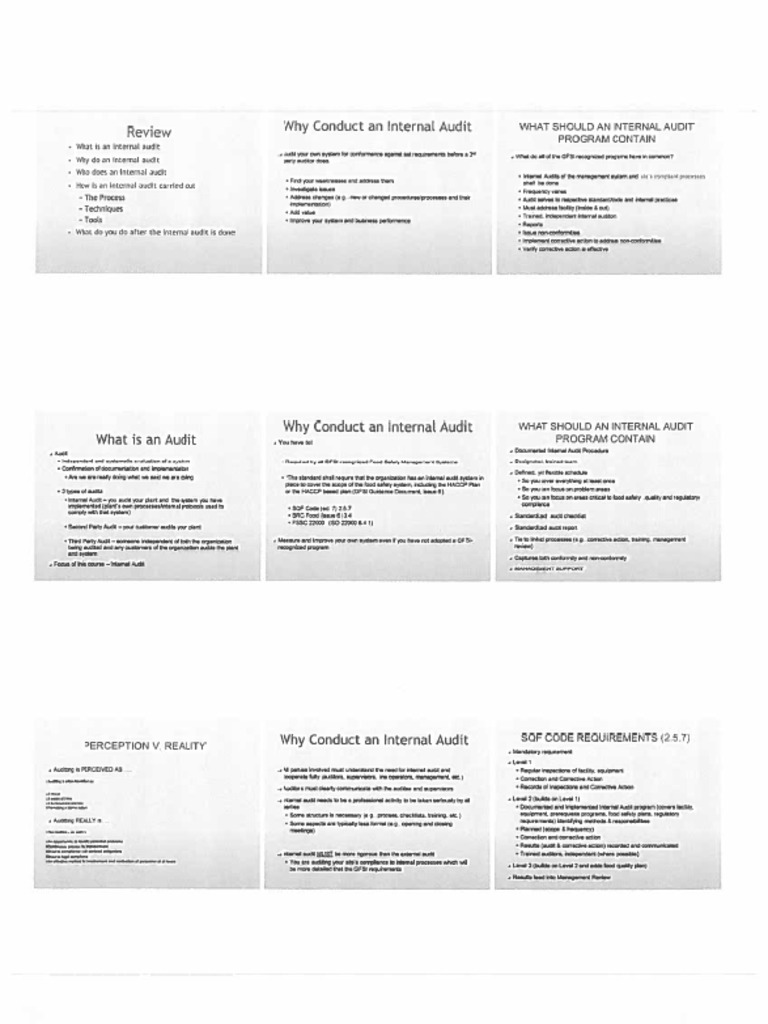 Internal Auditing | PDF