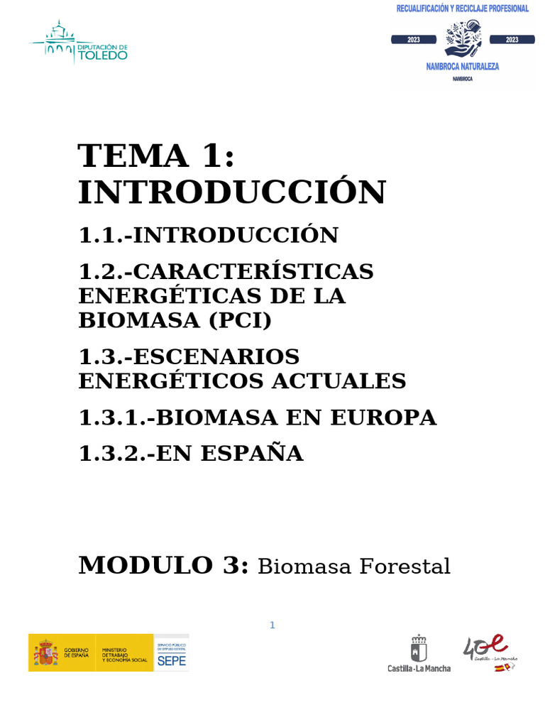 Tema 1 a Introduccion | PDF