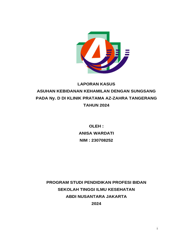 ANC Anisa | PDF