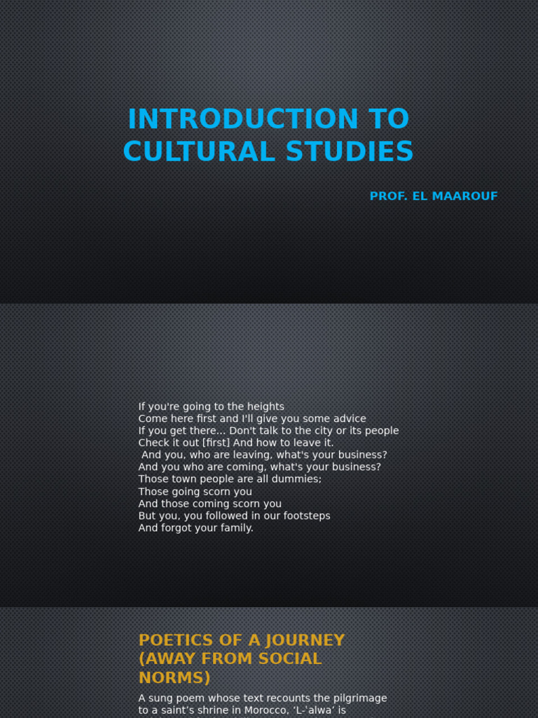 Introduction To Cultural Studies 9 | PDF