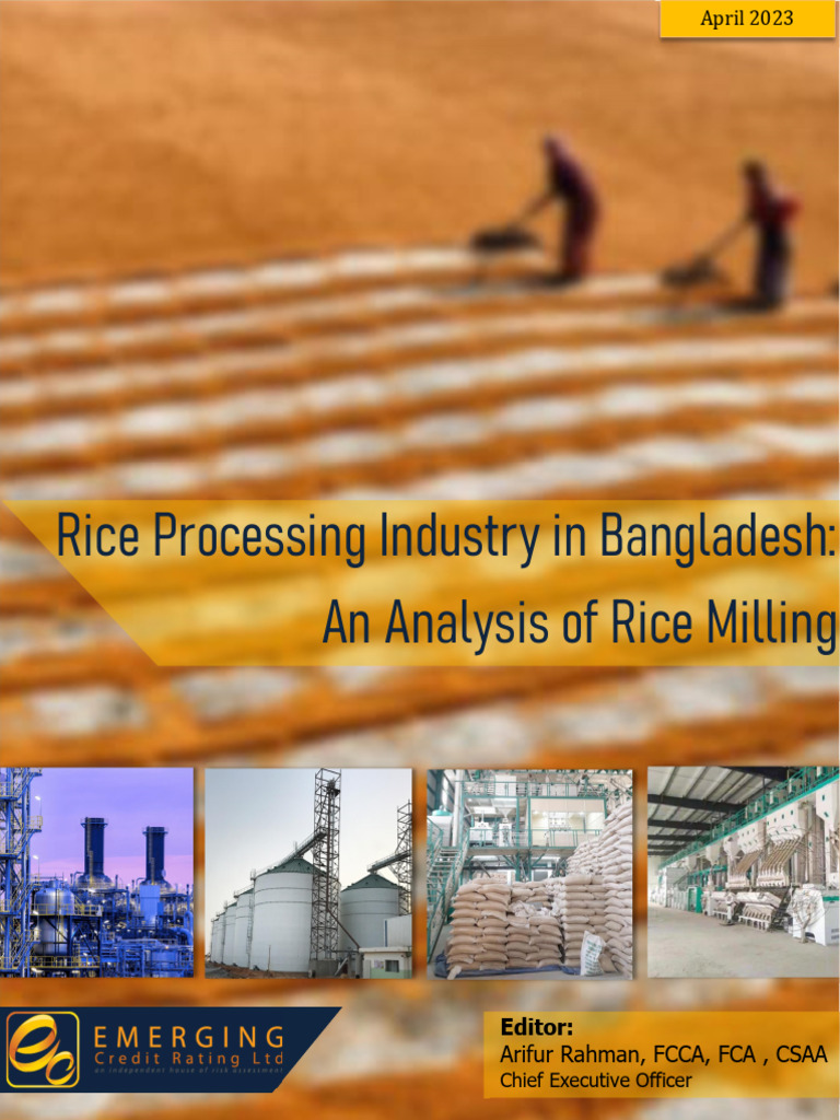 Rice Processing Industry in Bangladesh An Analysis of Rice Milling | PDF