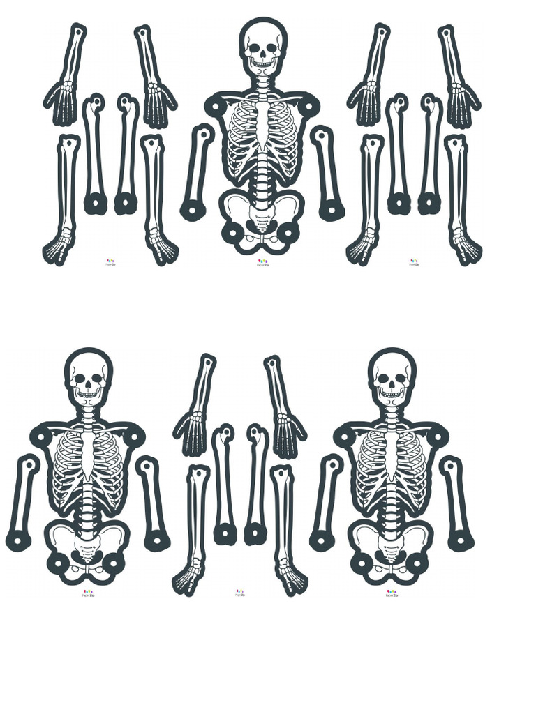 Skeleton-Templates (1) BB | PDF