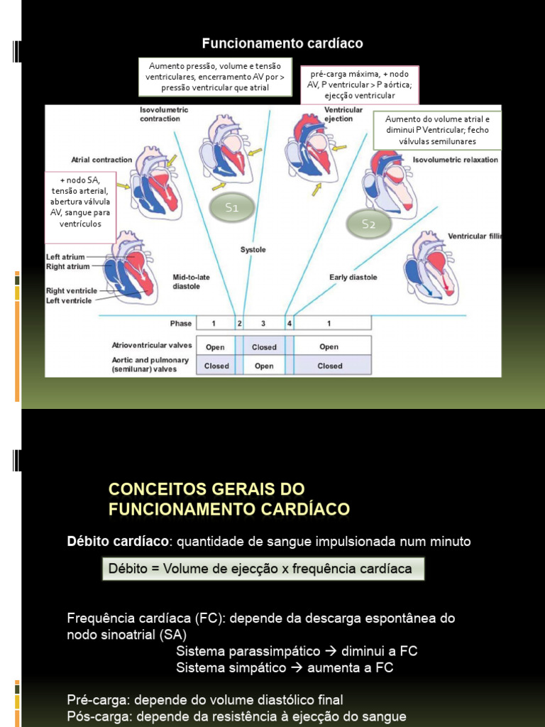 Aula PMI Cardiovascular 2023 (1) 2 | PDF