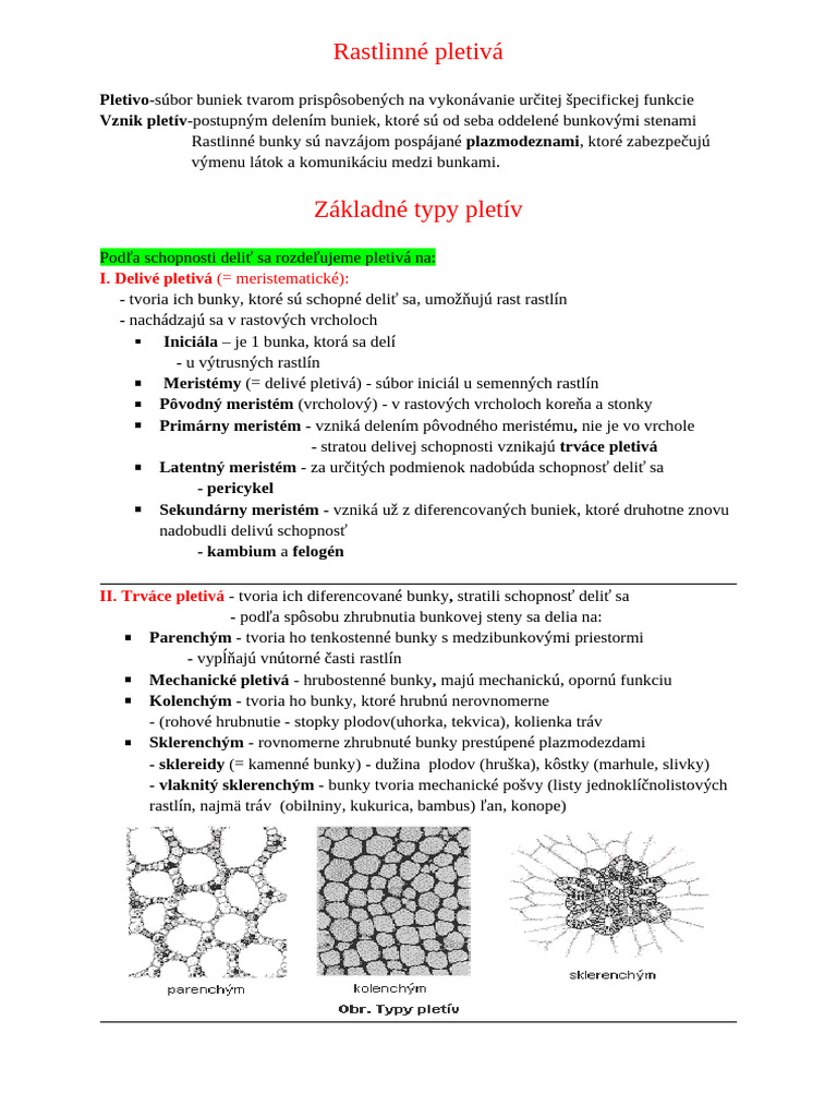 1 - Rastlinné Pletivá-Text | PDF