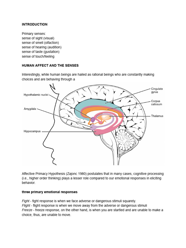 Sex And Senses Pdf Sexual Arousal Behavioural Sciences 