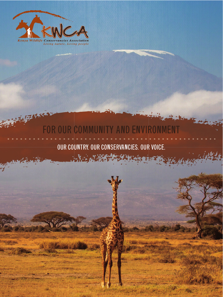 KWCA Organisational Profile | PDF