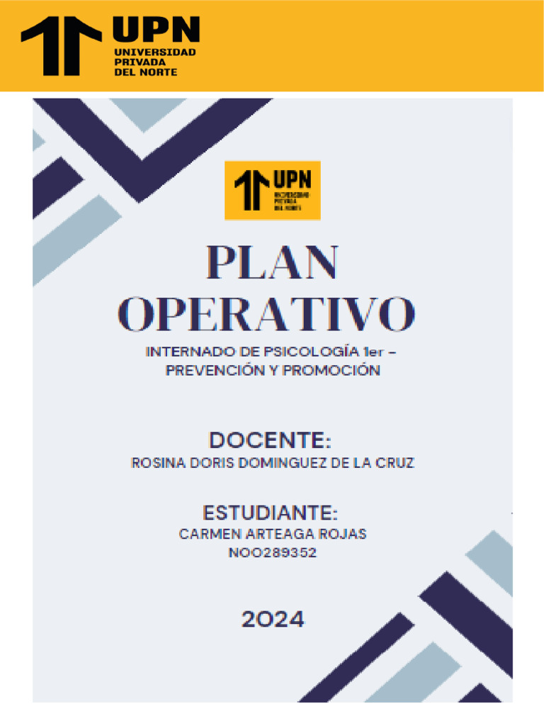 Informe de Plan Operativo - Internado 1 MARIO VARGAS LLOSA | PDF