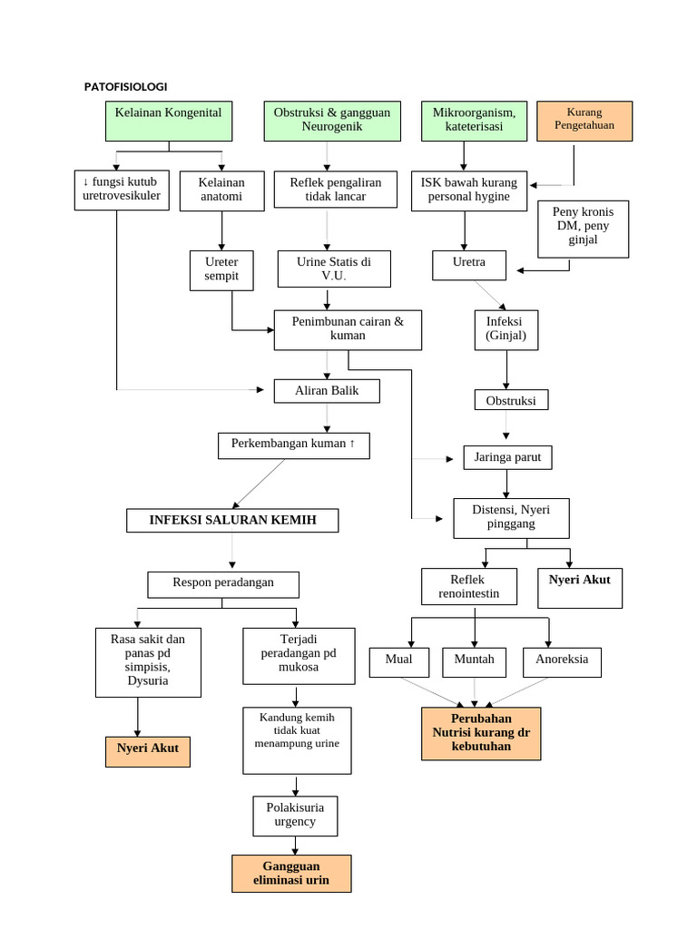 Patofisiologi Pathway Isk | PDF