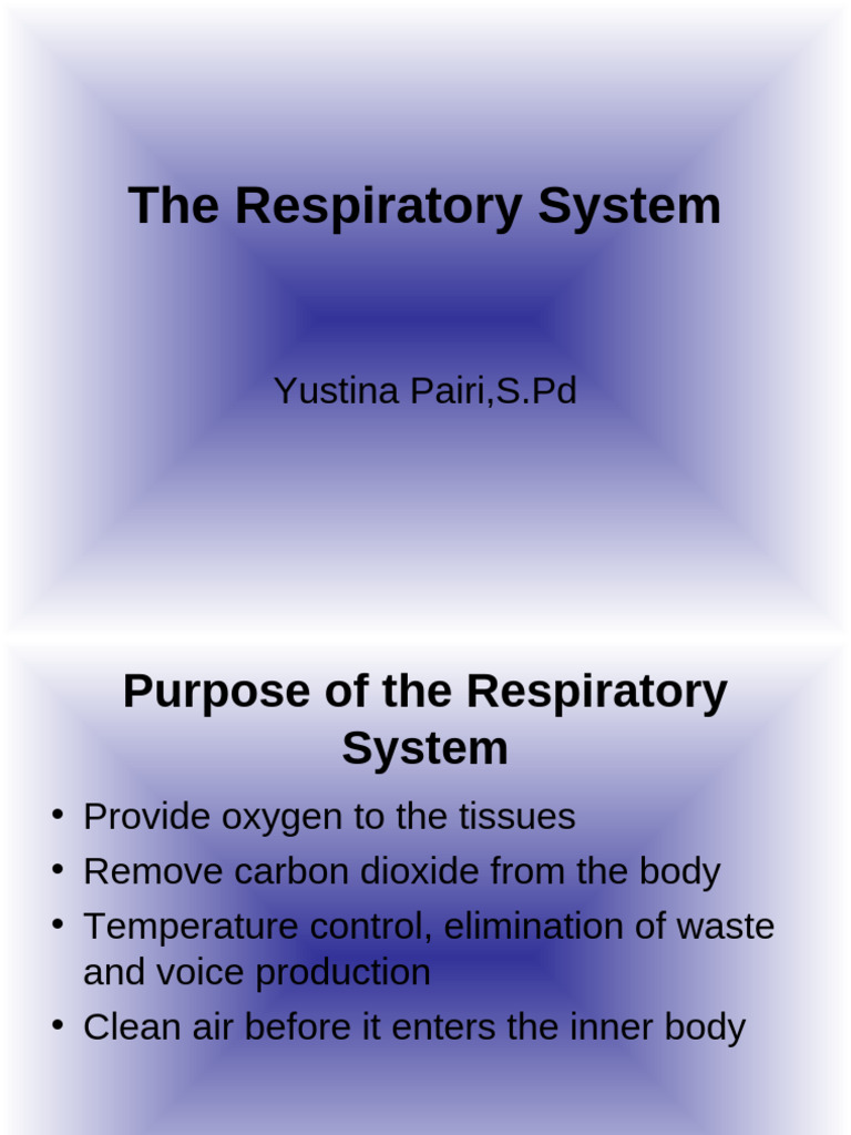 Respitory System | PDF