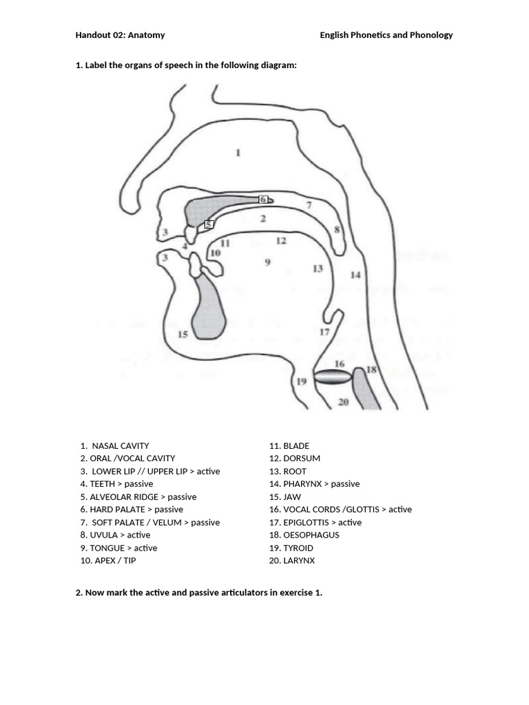 Handout 02 - PHONETICS | PDF