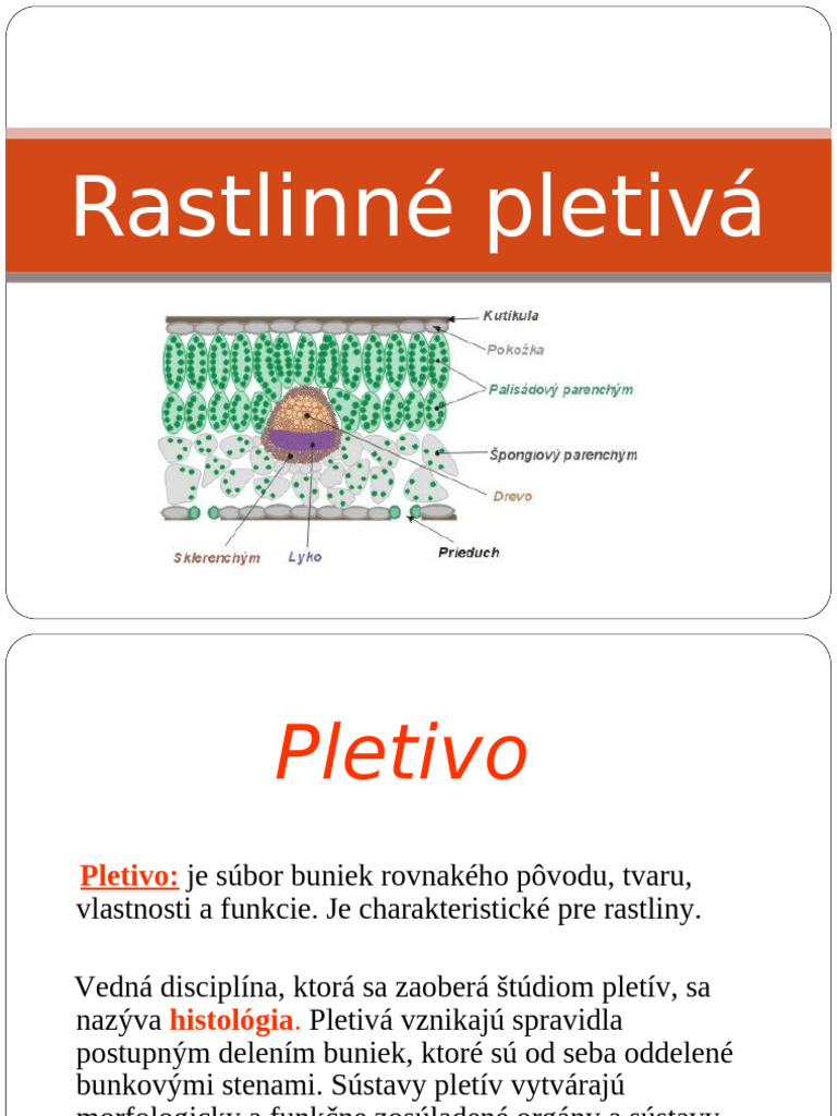 01 Pletivá | PDF