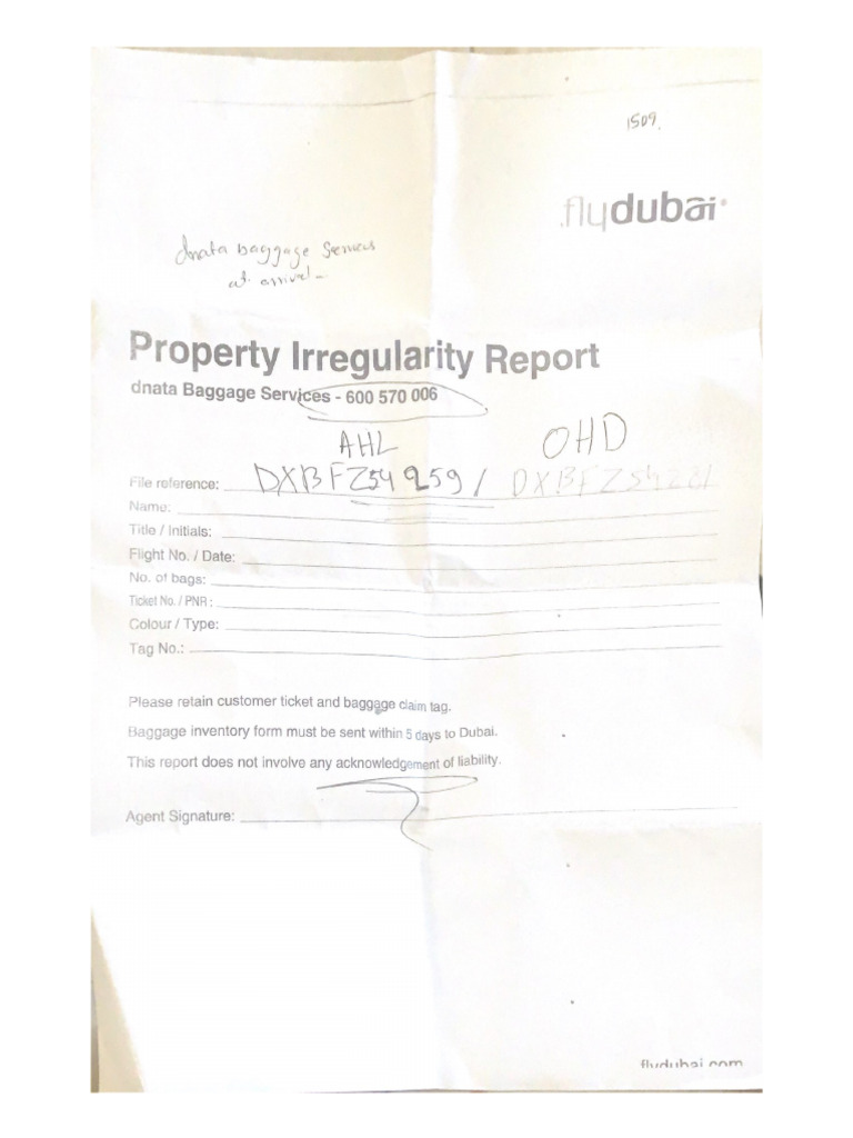 Property Irregularity Report | PDF