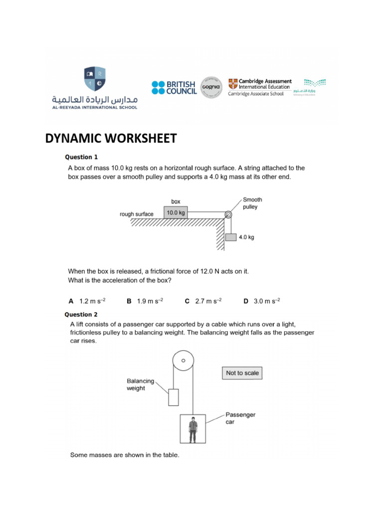 Dynamic Worksheet | PDF