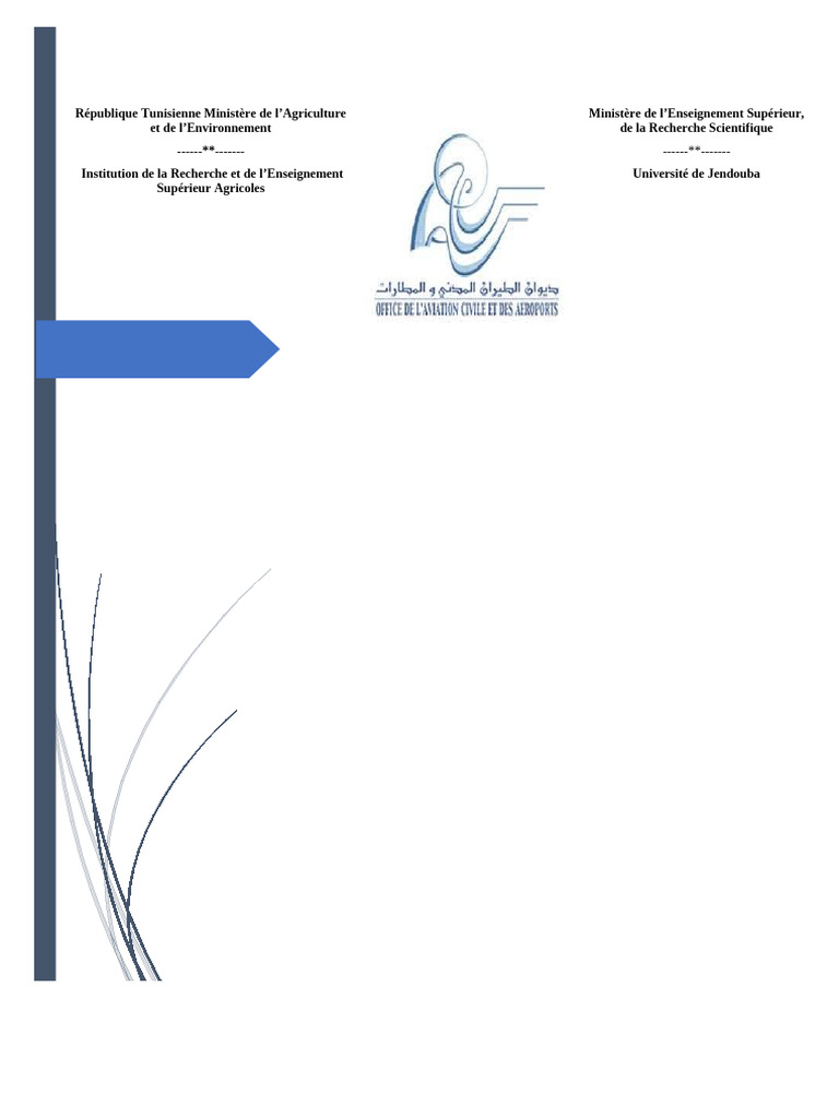Rapport de Stage OACA | PDF