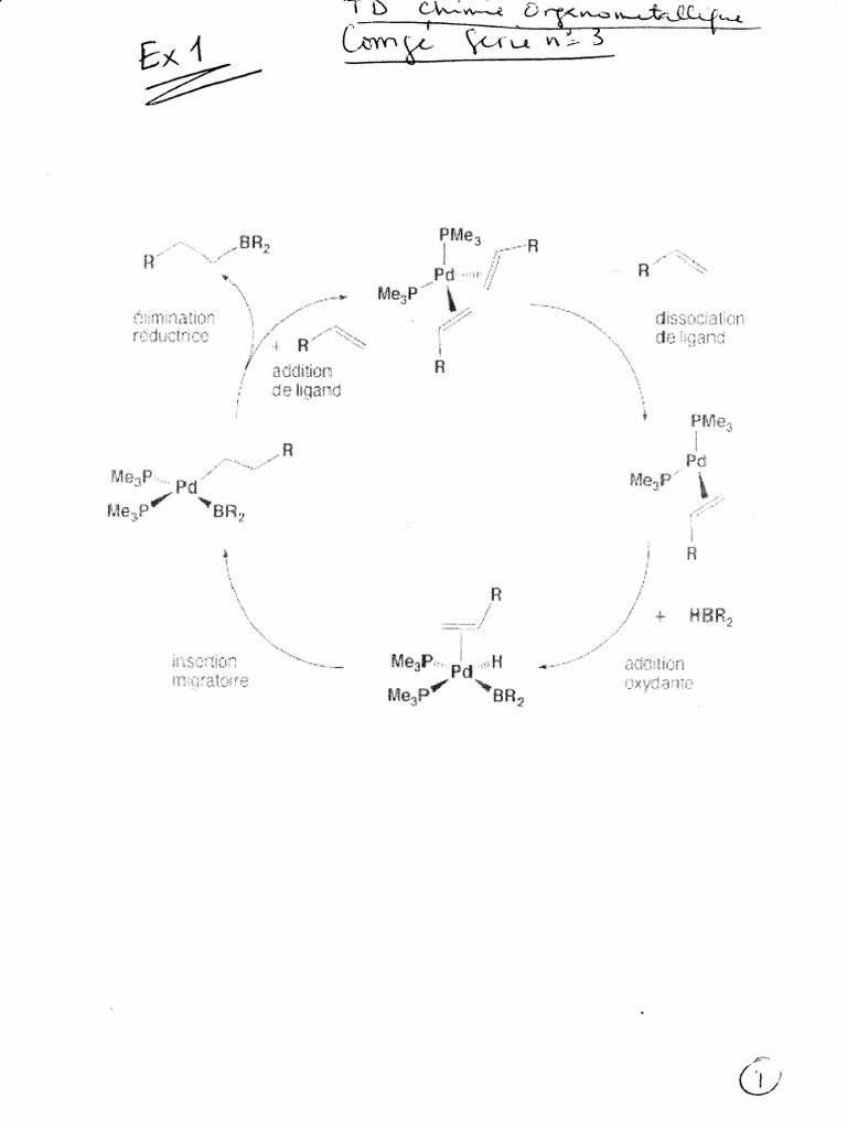 CORRIGE-TD-1 (organométallique) | PDF