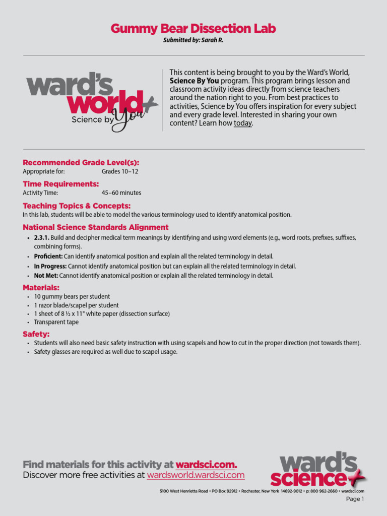 Ws Science by You Activity Gummy Bear Dissection | PDF