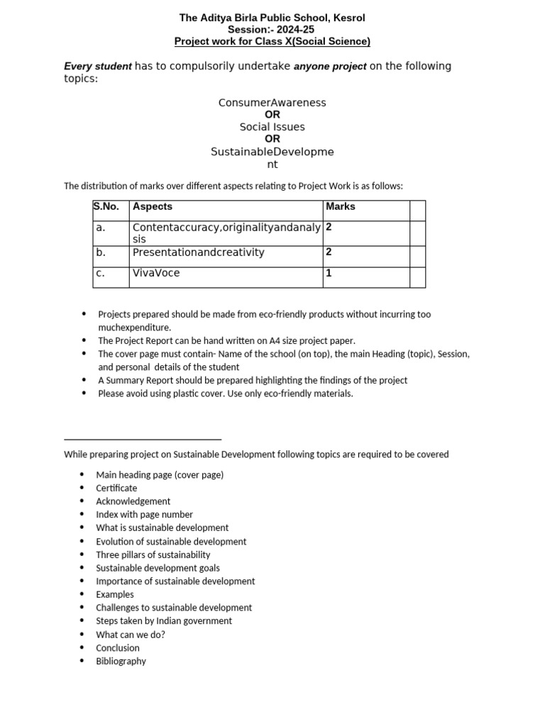 Project Work - Class X - SST 2 | PDF