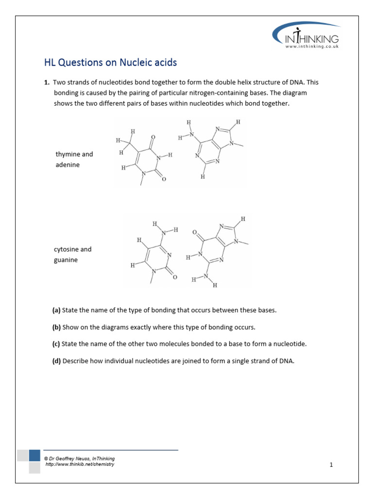 Q Nucleic Acids | PDF