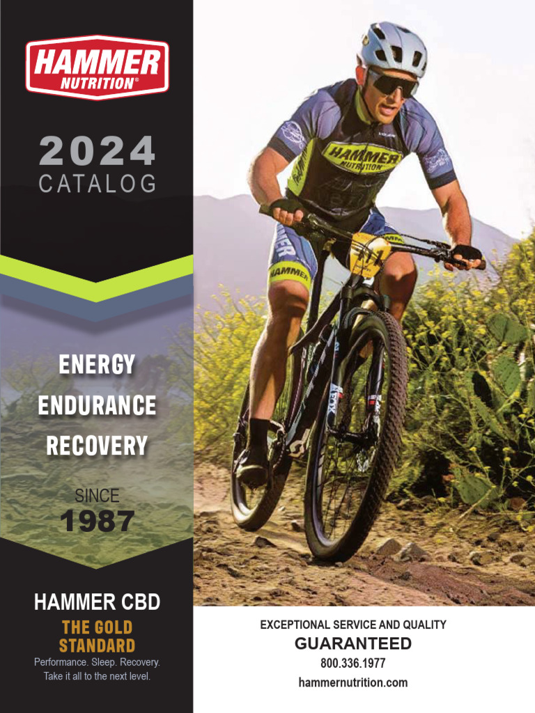 2024 Catalog | PDF