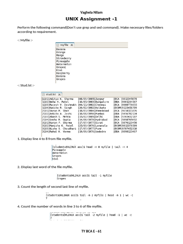 UNIX Assignment | PDF