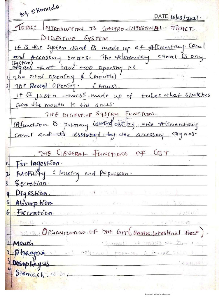 Pio262 Git Complete Note | PDF