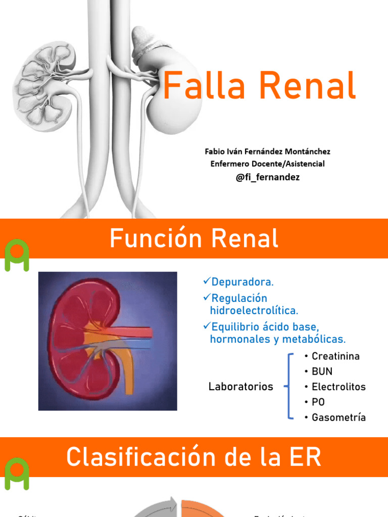 Falla Renal 2.023 | PDF | Riñón | Medicina