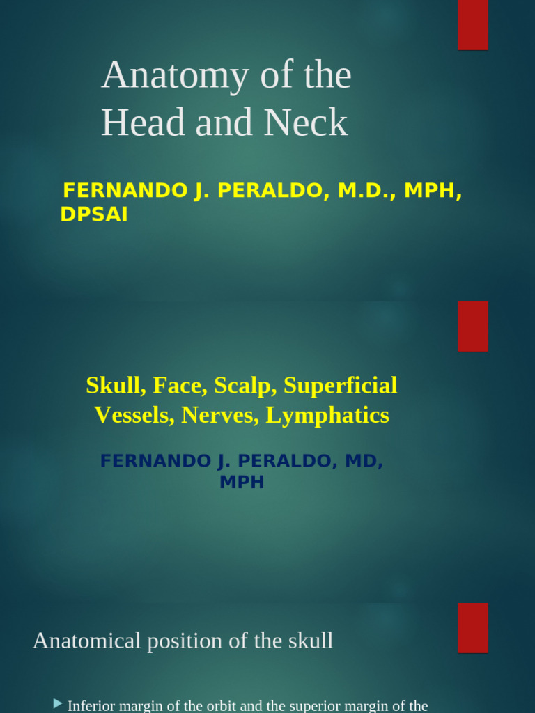 Anatomy of The Head and Neck | PDF