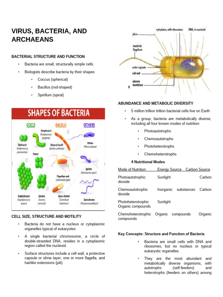 Bio-notes-2 | PDF