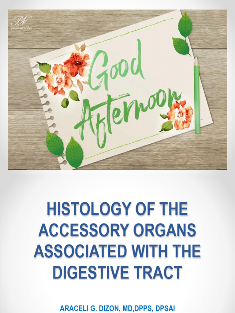 Accessory Glands of The Digestive System Histology March 2023 | PDF