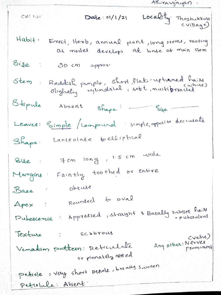 Botany Enthusiast's Guide | PDF