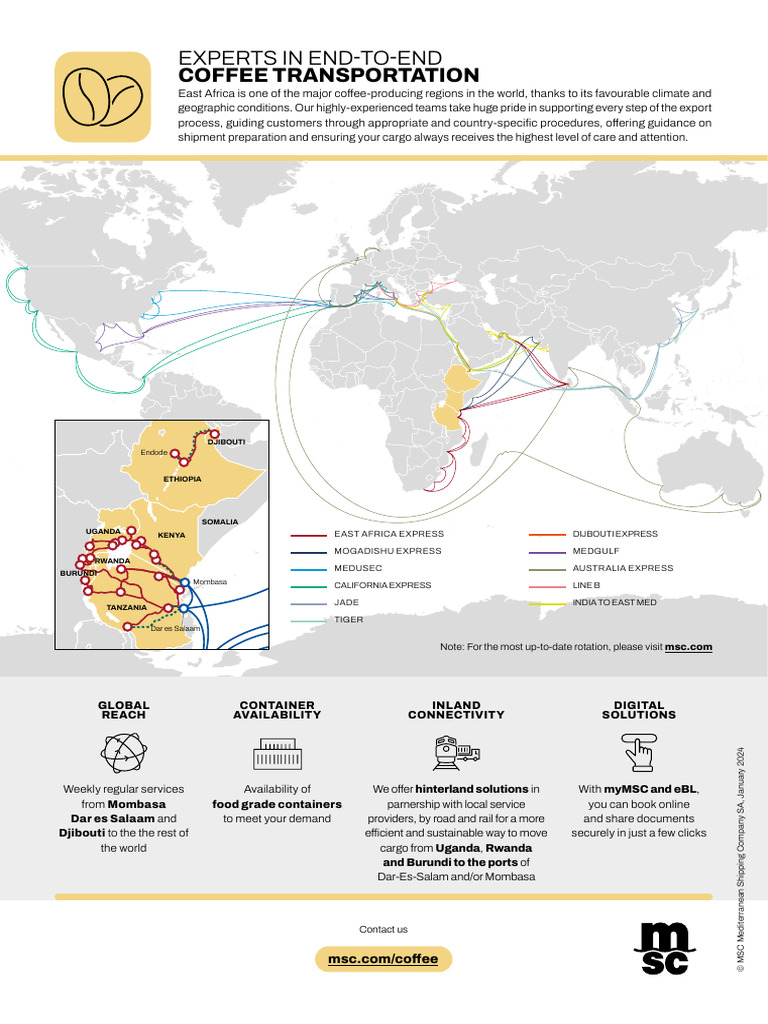 Coffee Leaflet | PDF