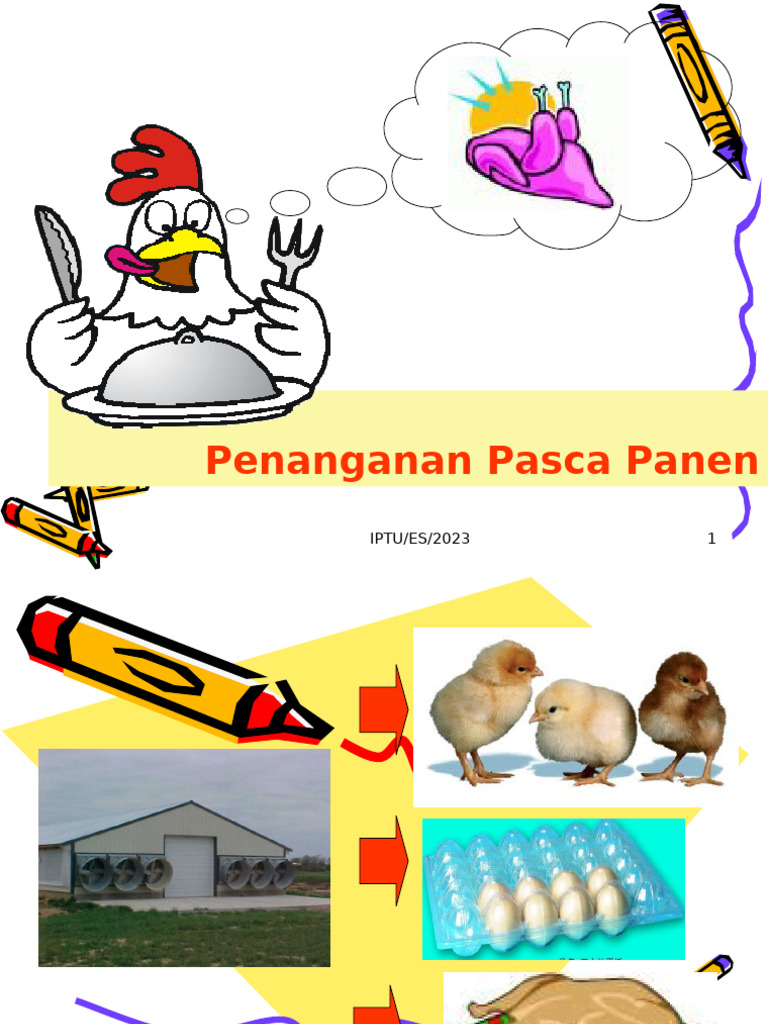 Penanganan Pasca Panen | PDF