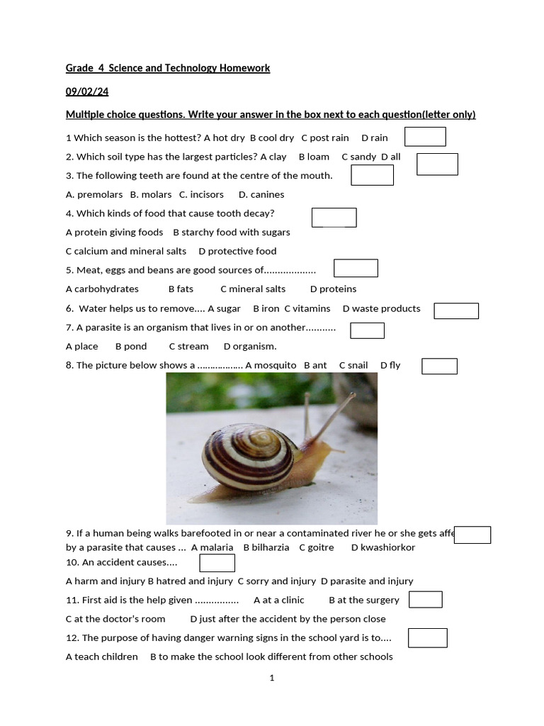 09 Feb 2024 G4 Science and Technology Homework | PDF