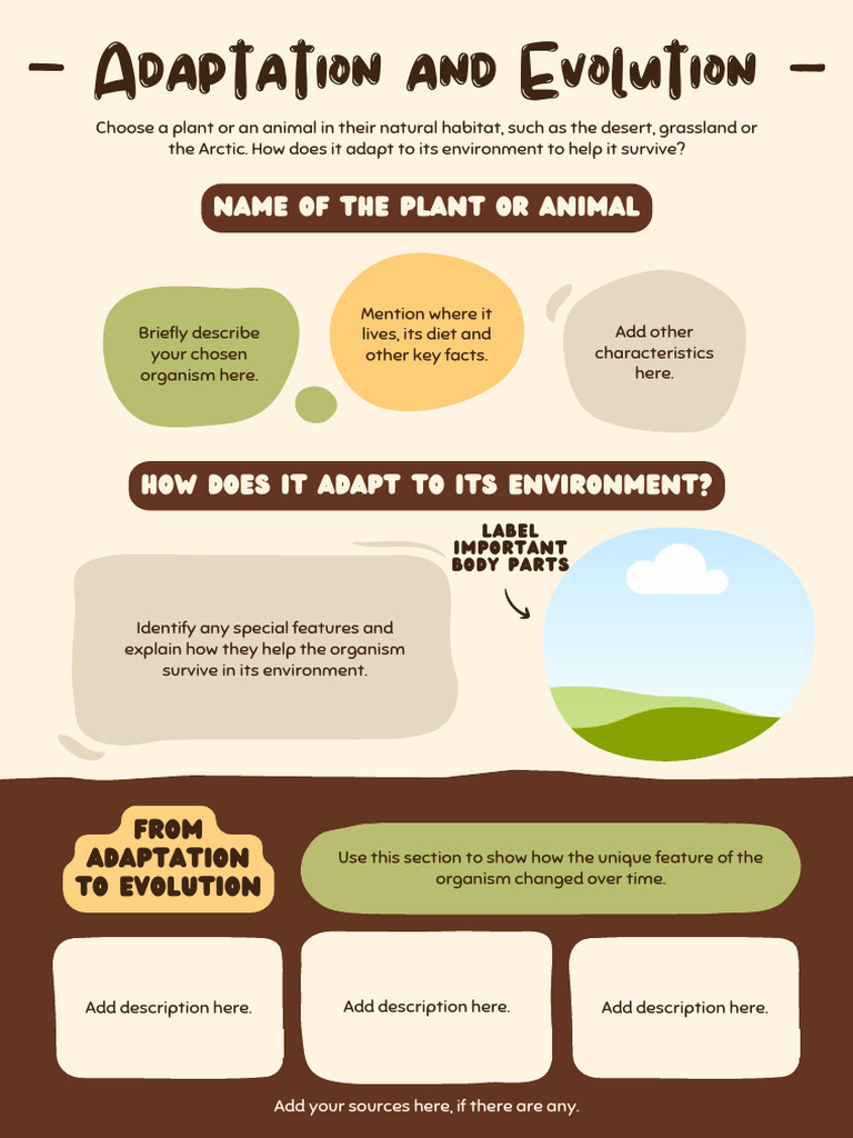 Edu Expansion Poster Adaptation | PDF