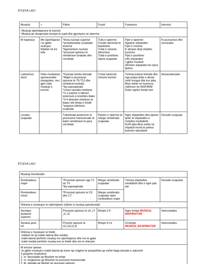Muskujt e Kurrizit Dhe Te Barkut | PDF | Abdomen | Soft Tissue